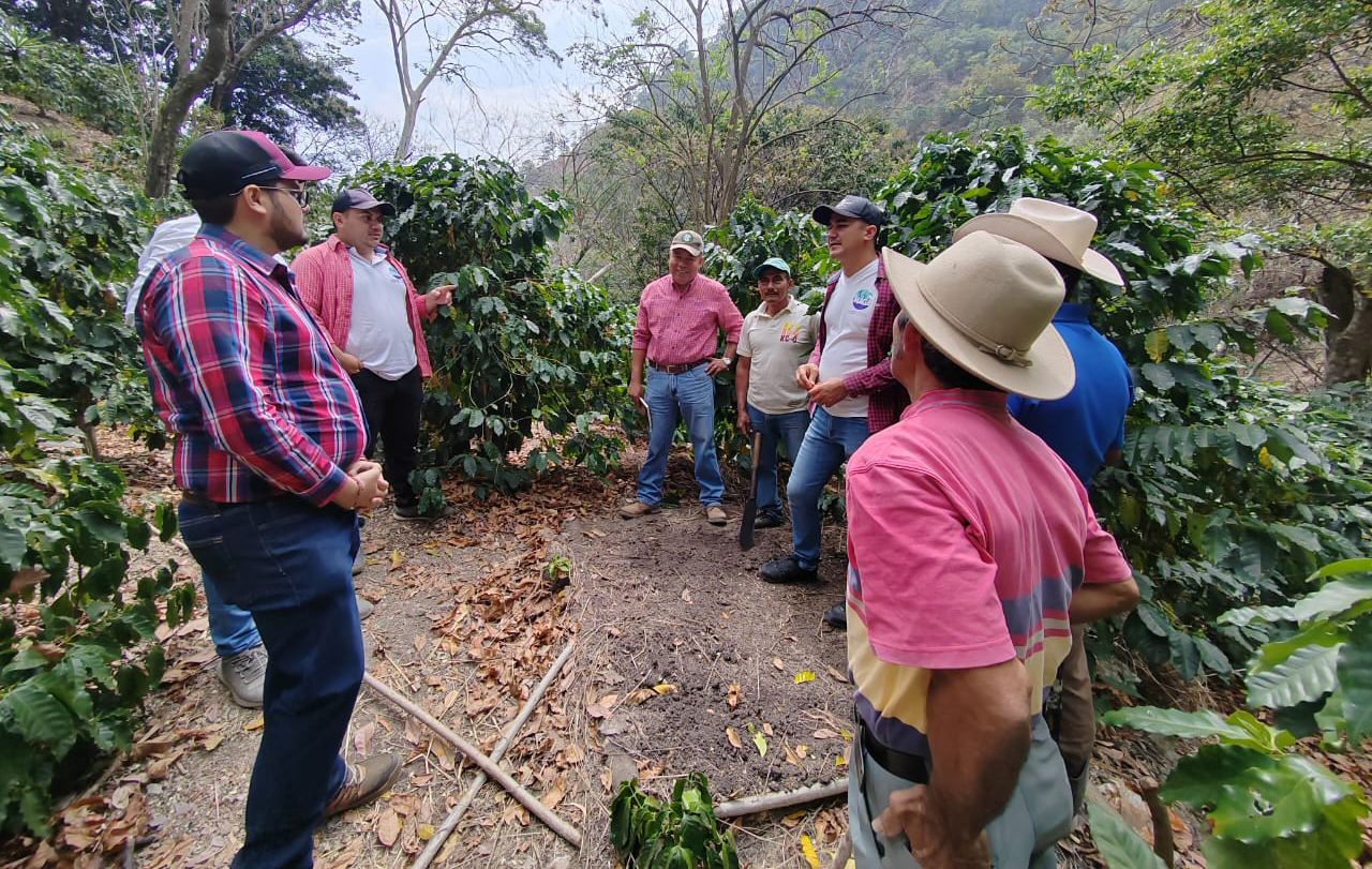 Productores del corredor seco aprenden a fortalecer cultivos - Gobierno ...