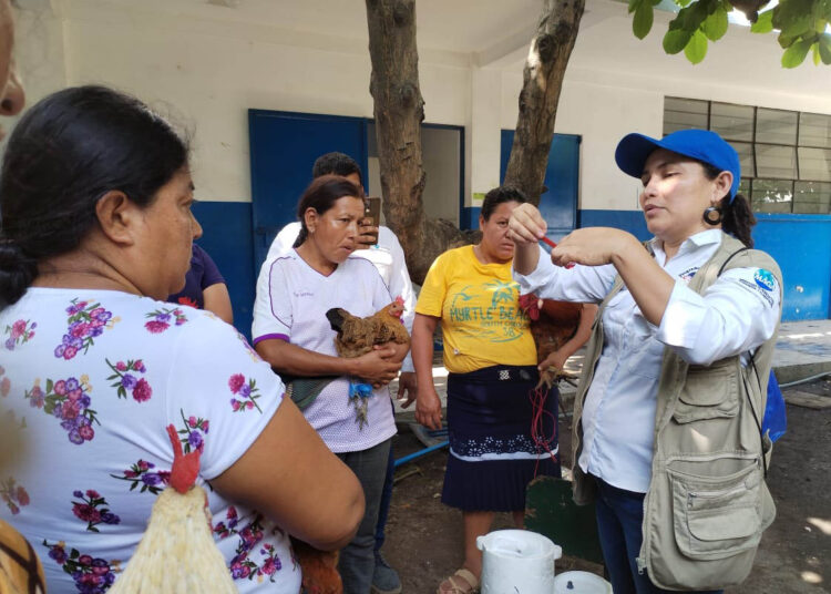 febrero, 2025 - Gobierno de Guatemala