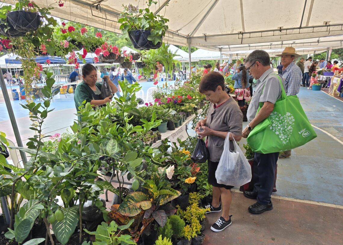 julio, 2025 - Gobierno de Guatemala